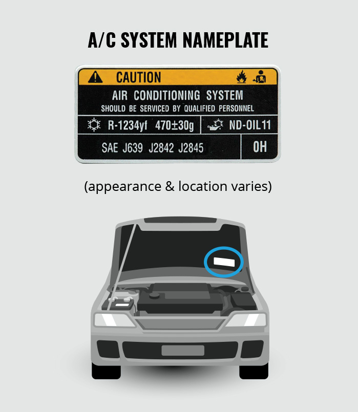 AZMX Landing Page 20240219a - A/C Avalanche